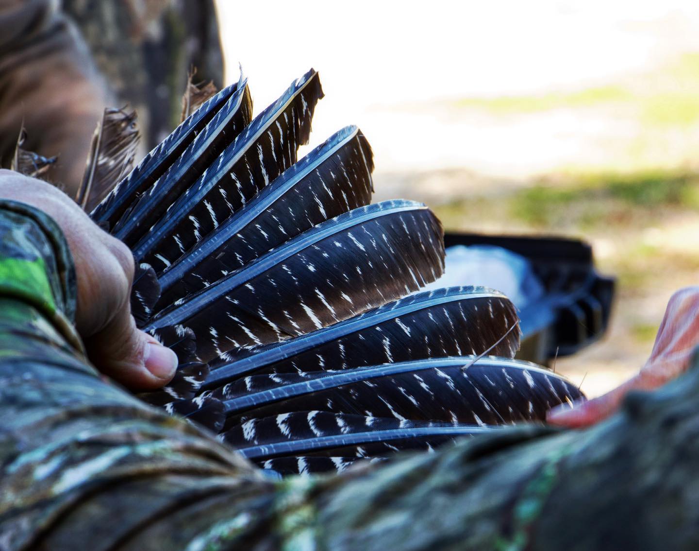 About Us – www.olhenturkeycalls.com